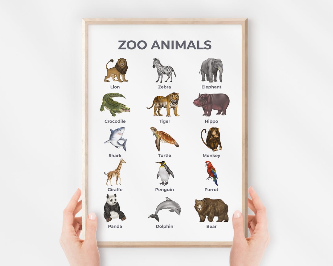 Zoo Animals Poster, Learning Chart, Educational Nursery Wall Art ...