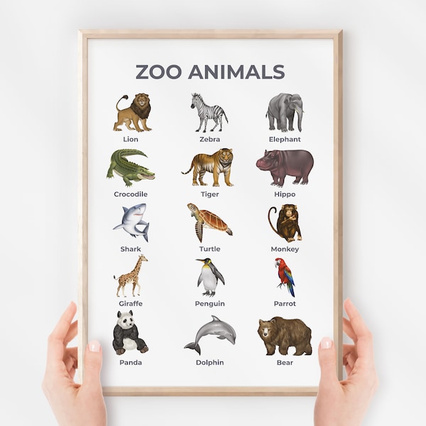 Printable Zoo Chart - Etsy