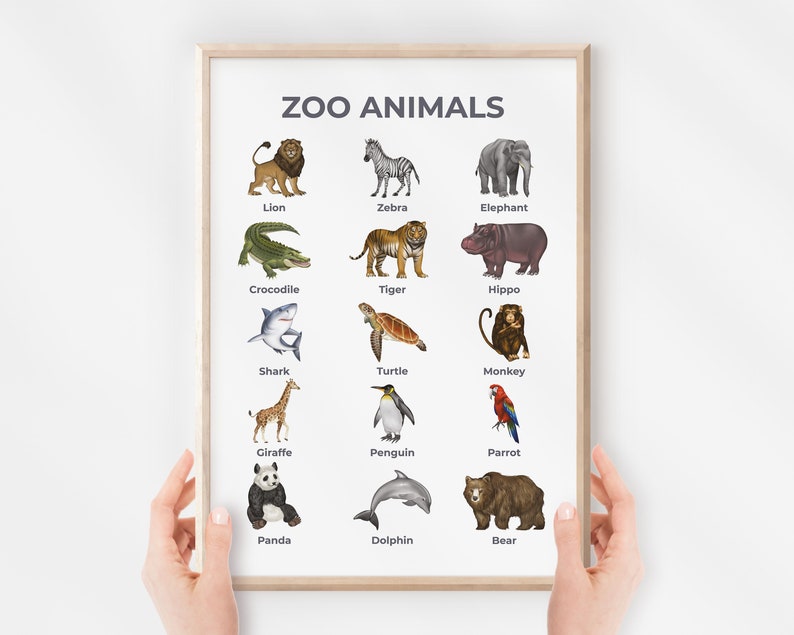 Zoo Animals Poster Learning Chart Educational Nursery Wall - Etsy