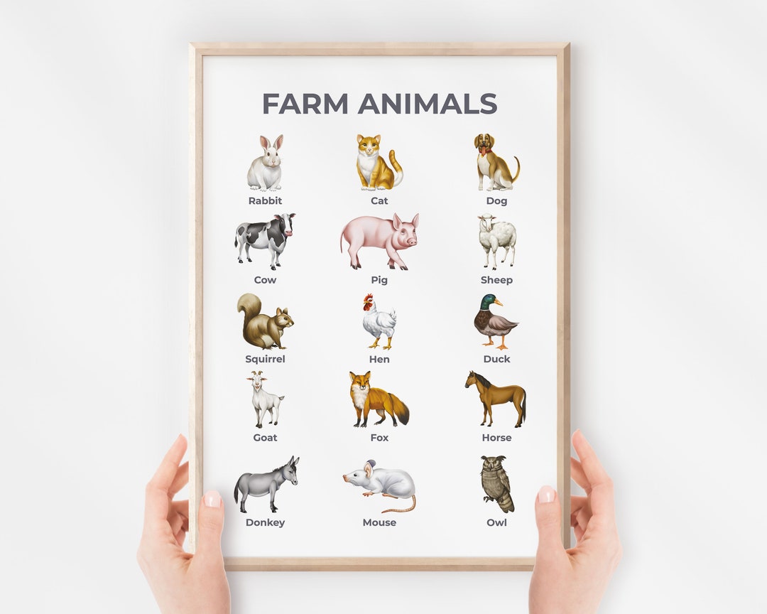 Farm Animals Poster, Learning Chart, Educational Nursery Wall Art ...