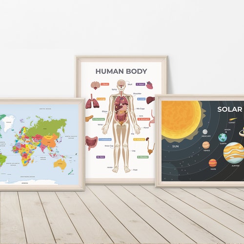 World Map Solar System Human Body A3 Educational Posters - Etsy UK