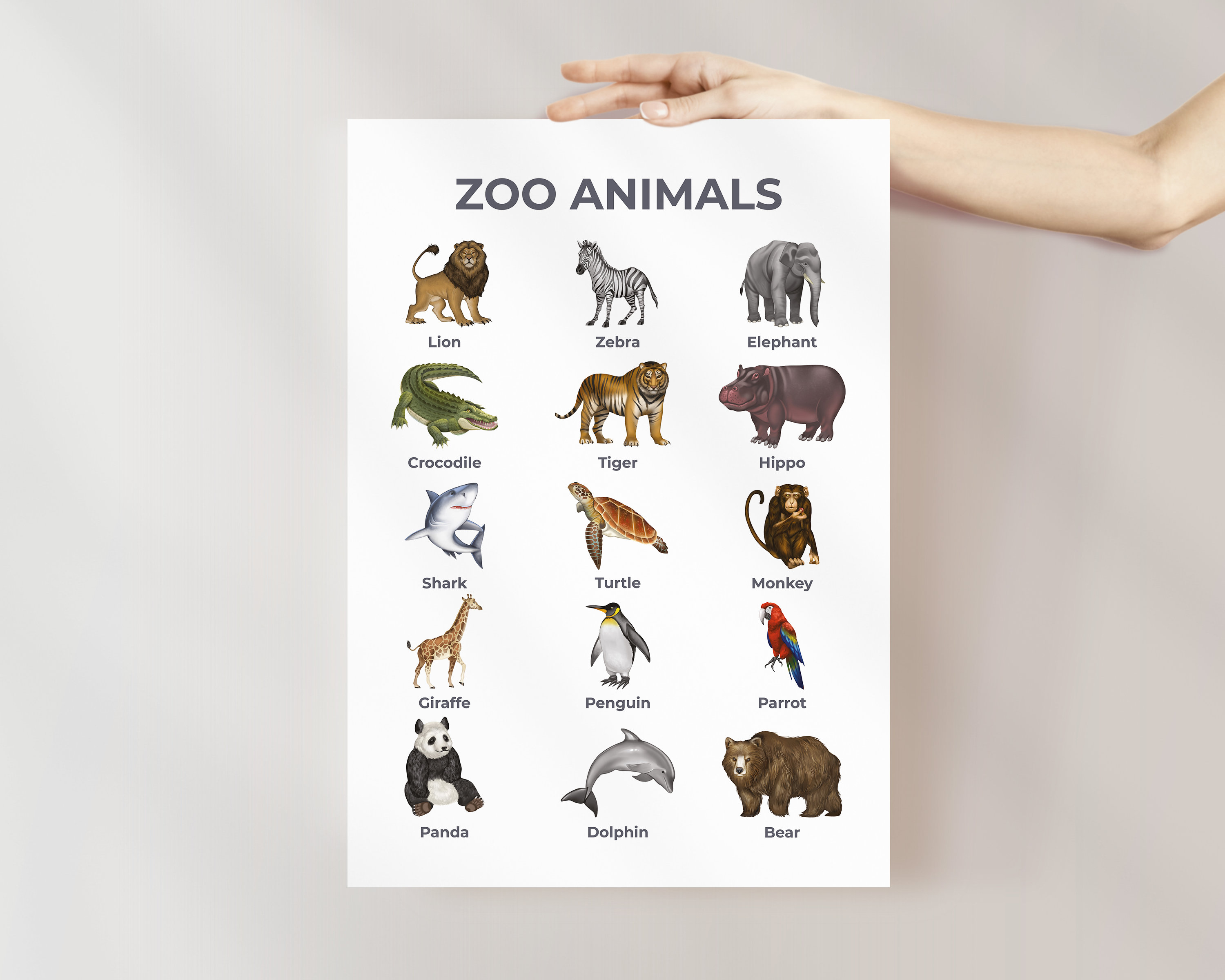 Zoo Animals For Kids