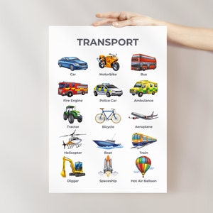 Picture Educational Posters Set, 8 Learning Wall Charts, Playroom Decor ...