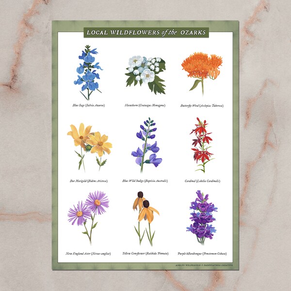 Missouri Wildflower Poster - Etsy
