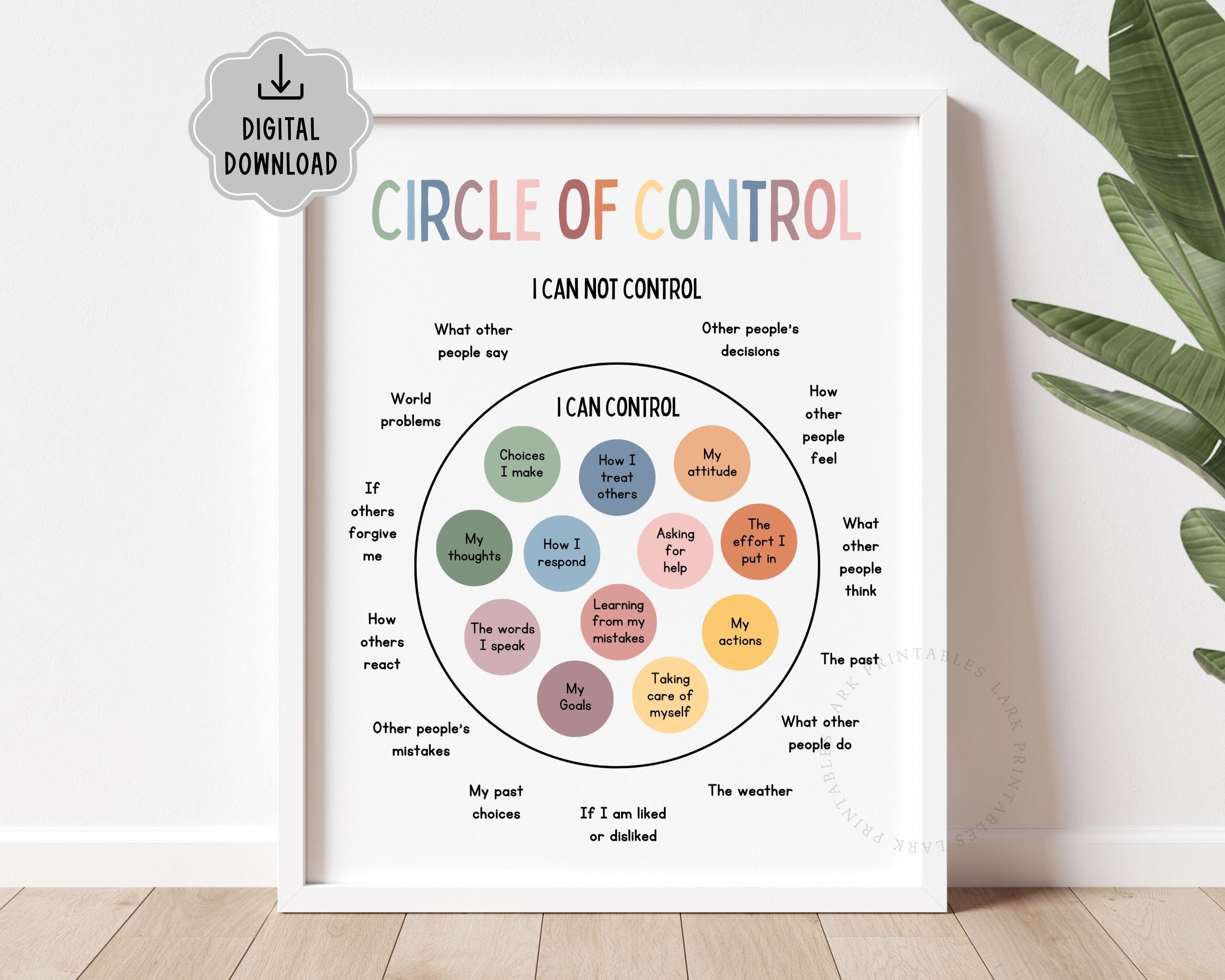 Things I Can Control Therapy Poster Circle of Control, Calm Corner ...