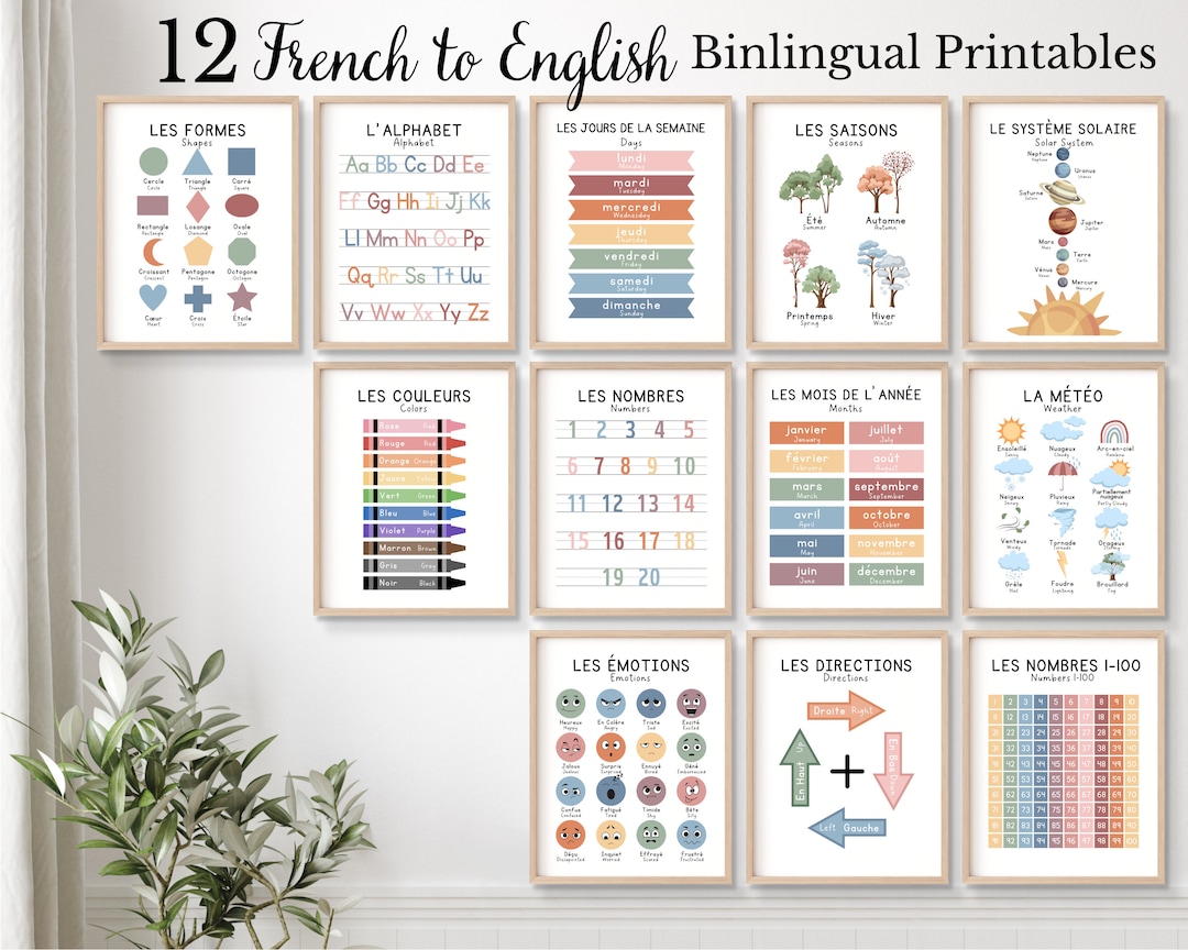 12 Bilingual French Educational Posters, Homeschool Printables, French ...
