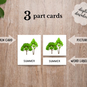 4 Seasons Flash Cards, Preschool Printables, Rainbow Flashcard ...