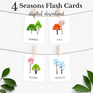 4 Seasons Flash Cards, Preschool Printables, Rainbow Flashcard ...