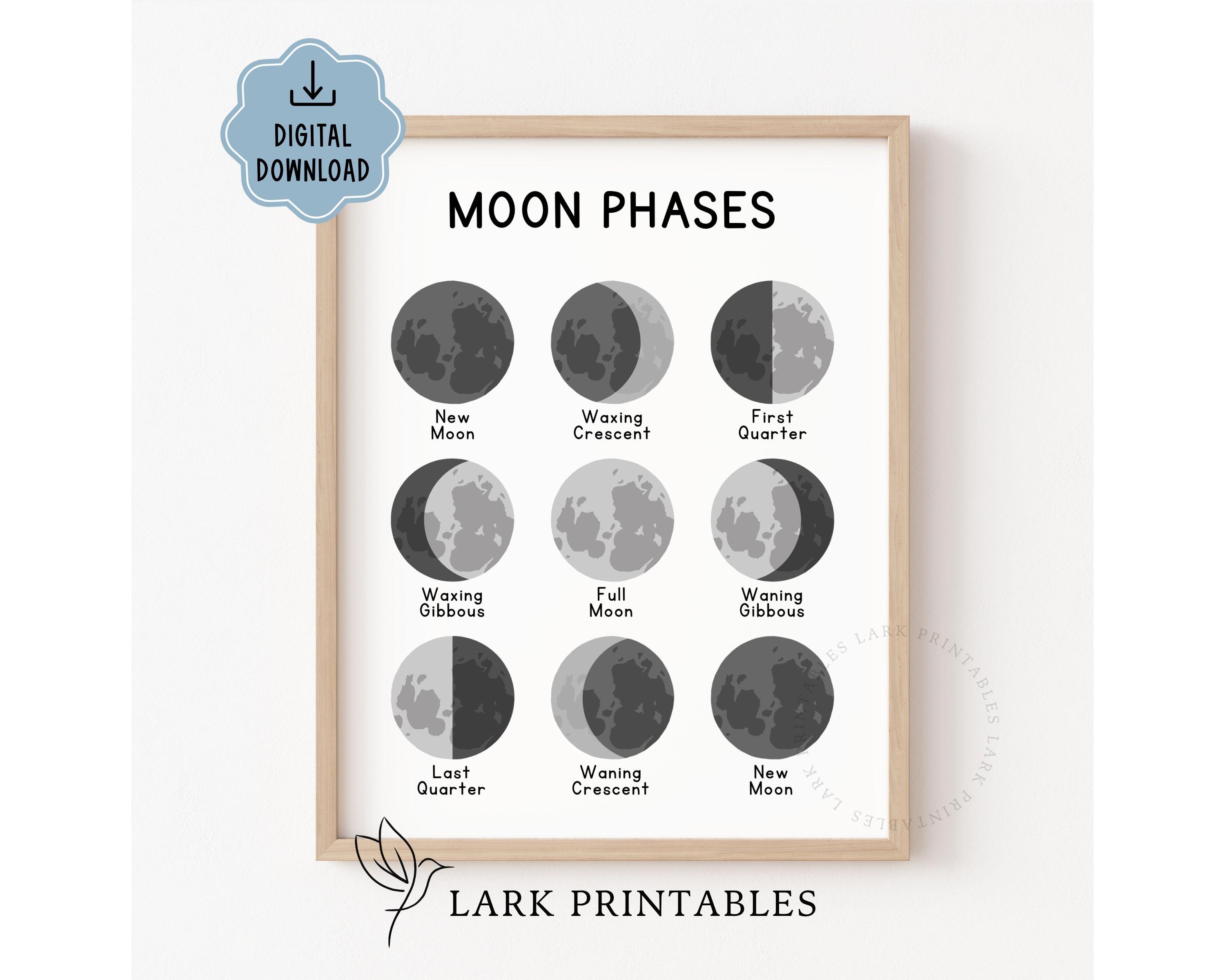 Moon Phases Poster Printable Homeschool Educational Poster, Solar ...