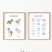 Boho Educational Poster, Montessori Playroom Wall Decor, Homeschool ...