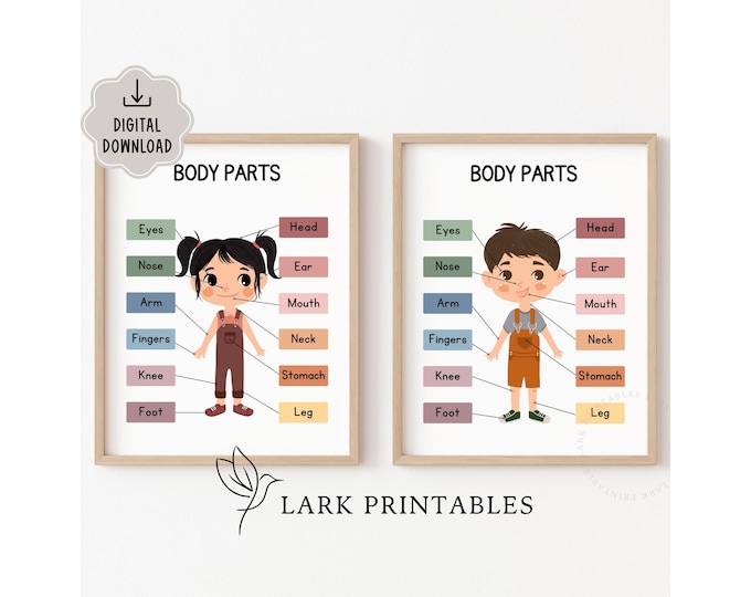 Body Parts Poster Montessori Homeschool Educational Posters for ...