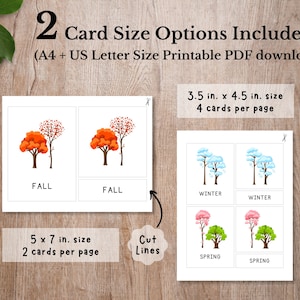 4 Seasons Flash Cards, Preschool Printables, Rainbow Flashcard ...