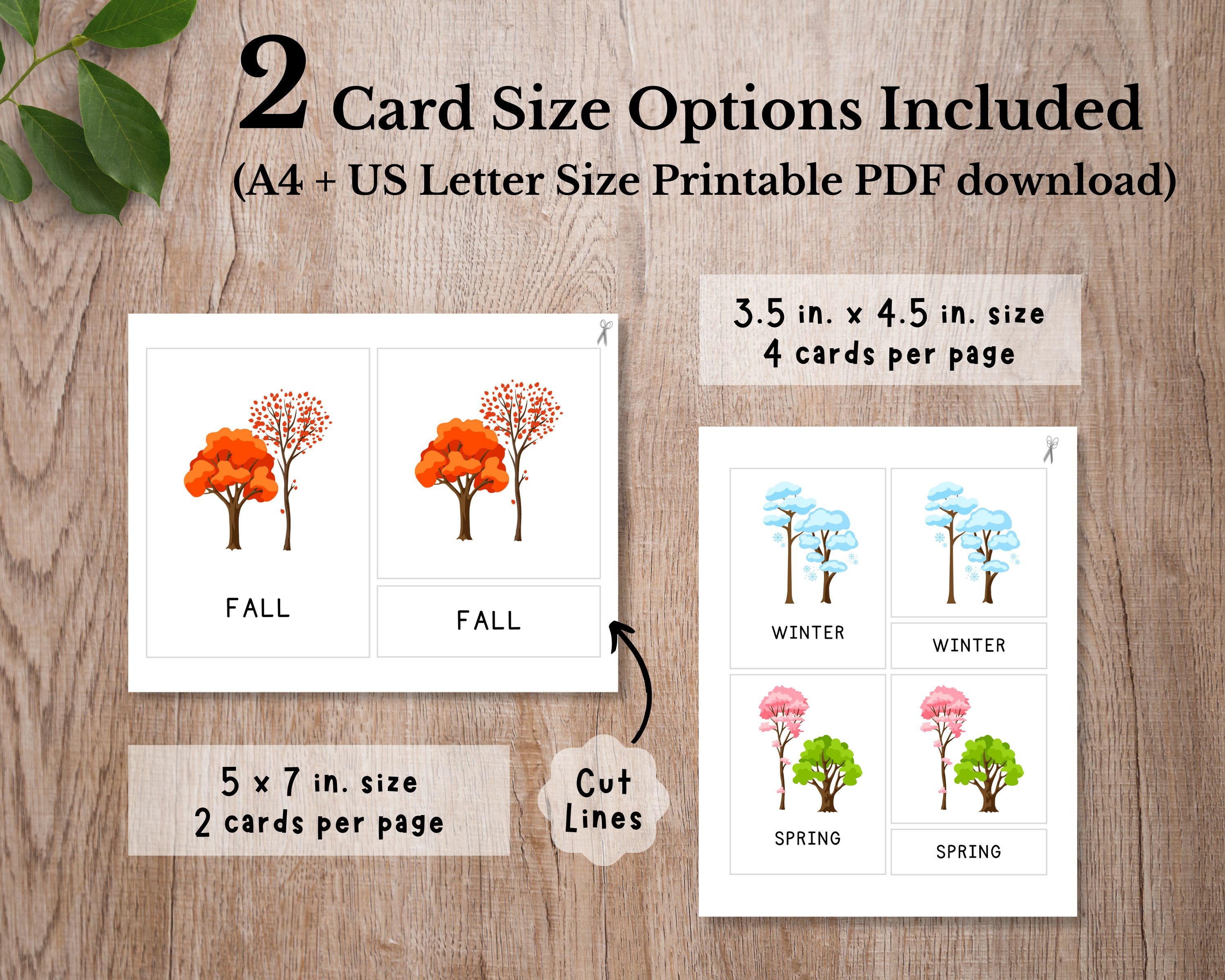4 Seasons Flash Cards, Preschool Printables, Rainbow Flashcard ...