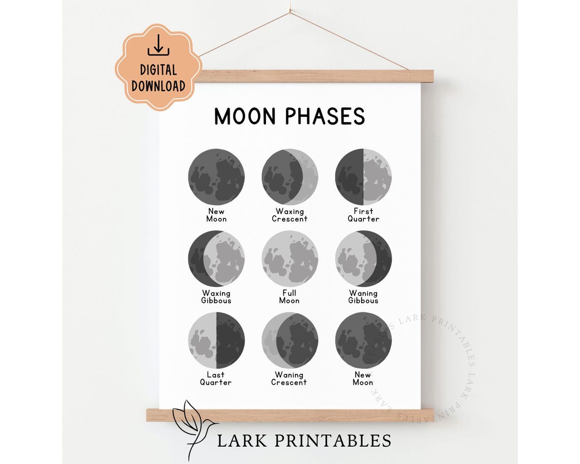 Moon Phases Poster Printable Homeschool Educational Poster, Solar ...