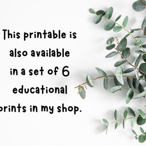 Months of the Year Printable, Educational Posters, Kindergarten Poster ...