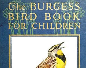 Burgess Bird Book | Etsy