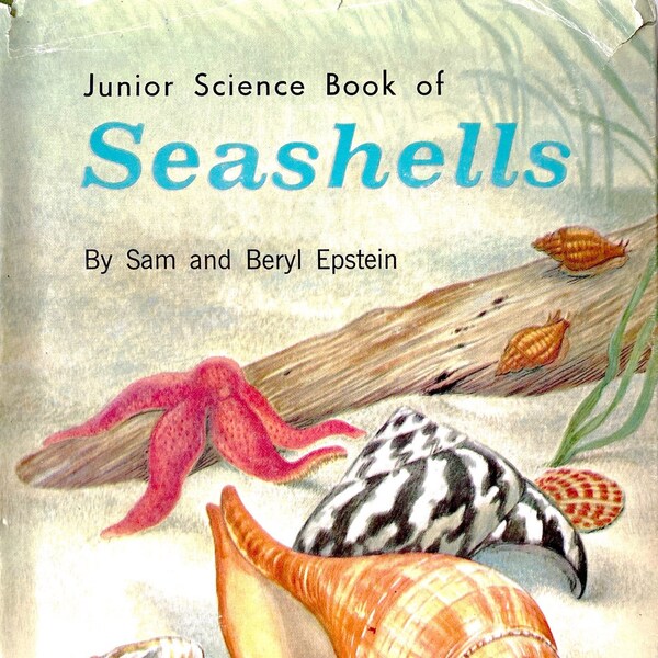 Seaside Living - Etsy