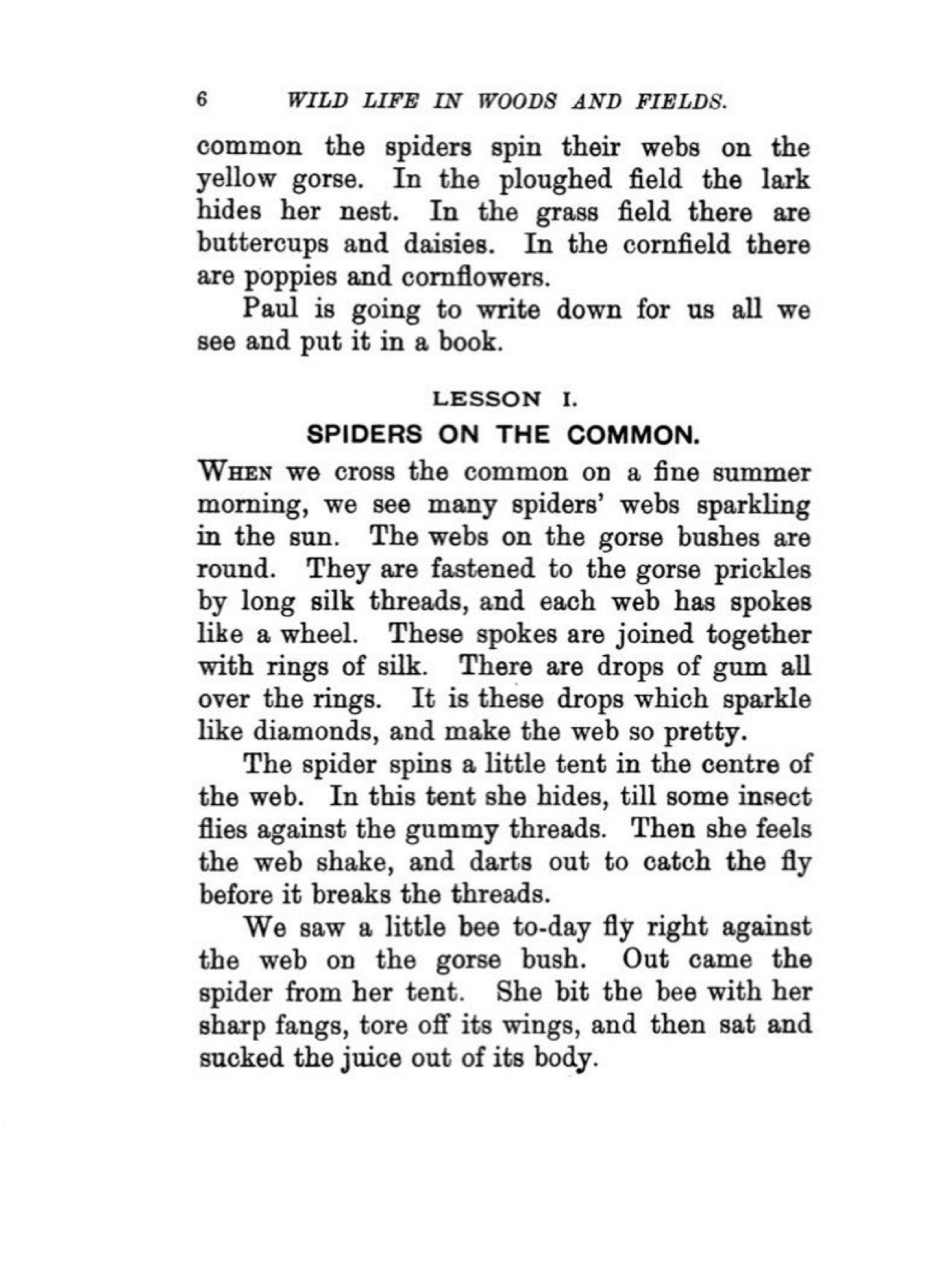 Wildlife in the Woods and Field by Arabella Buckley Book 1 1903 Eyes ...