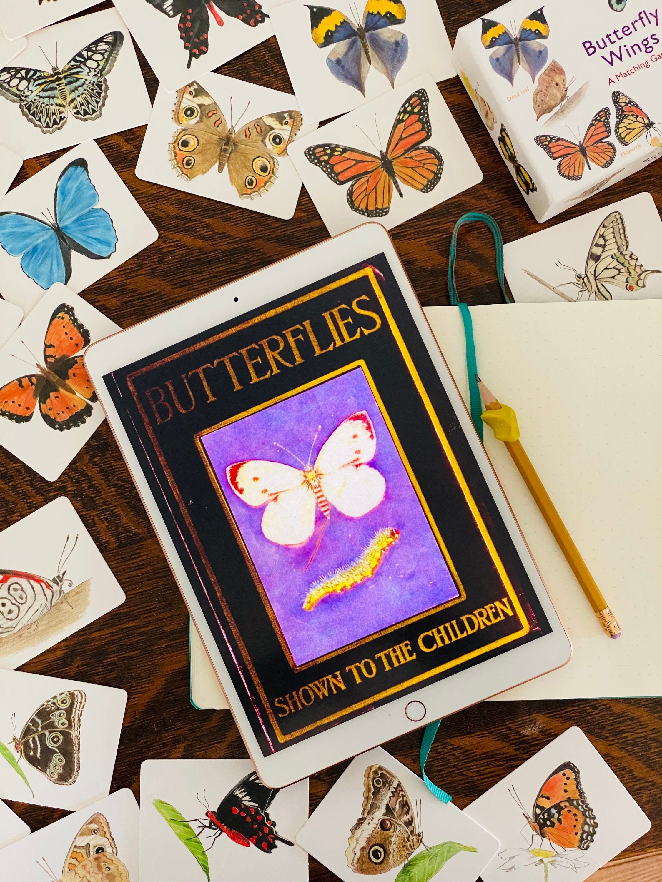 Nature Study Book Butterflies and Moths Shown to the Children 1915 PDF ...