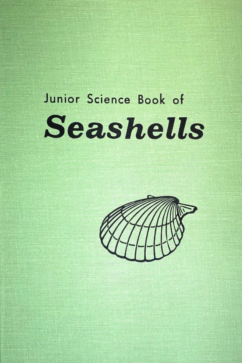 Junior Science Book of Seashells Homeschool Seashore Seaside - Etsy België