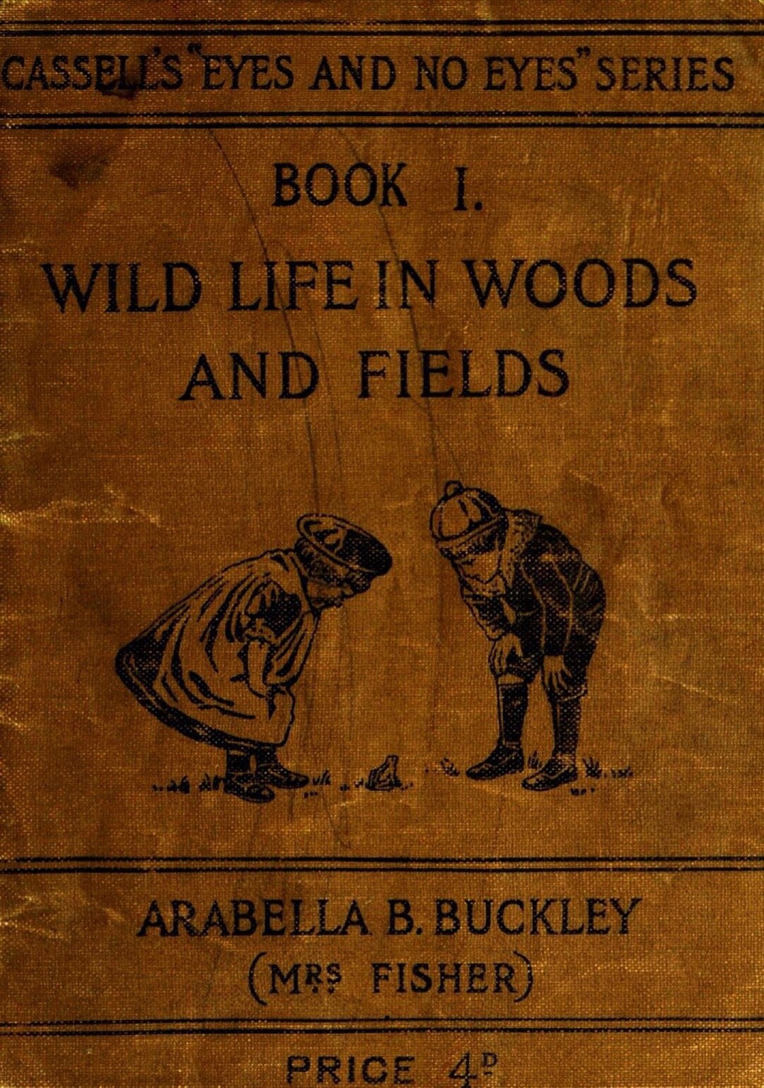 Wildlife in the Woods and Field by Arabella Buckley Book 1 1903 Eyes ...