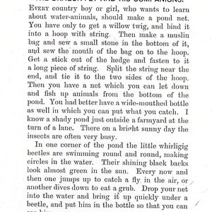 Pond and River Nature Study by Arabella Buckley Book 2 Eyes and No Eyes ...