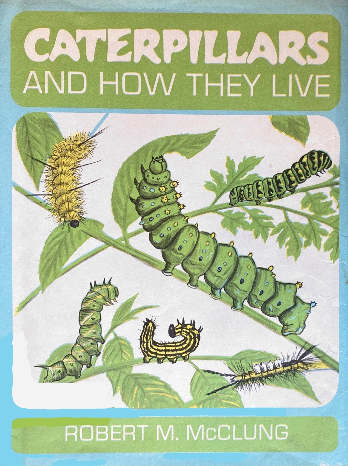 Caterpillars and How They Live by Robert Mcclung PDF Digital Download ...