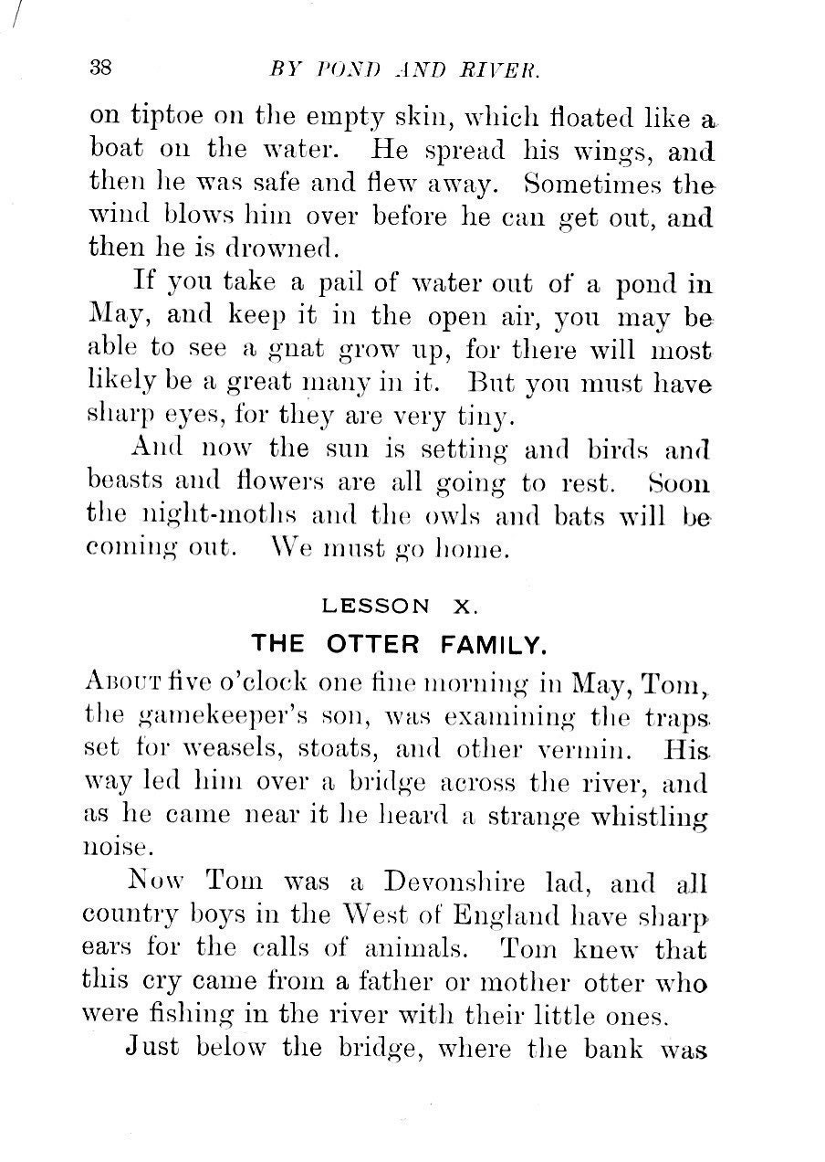 Pond and River Nature Study by Arabella Buckley Book 2 Eyes and No Eyes ...