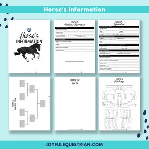 Equine Record Keeping Journal: Horse Care Planner (printable PDF) - Etsy