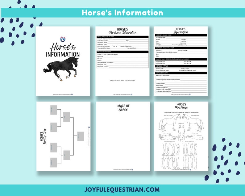 Equine Record Keeping Journal: Horse Care Planner (printable PDF) - Etsy