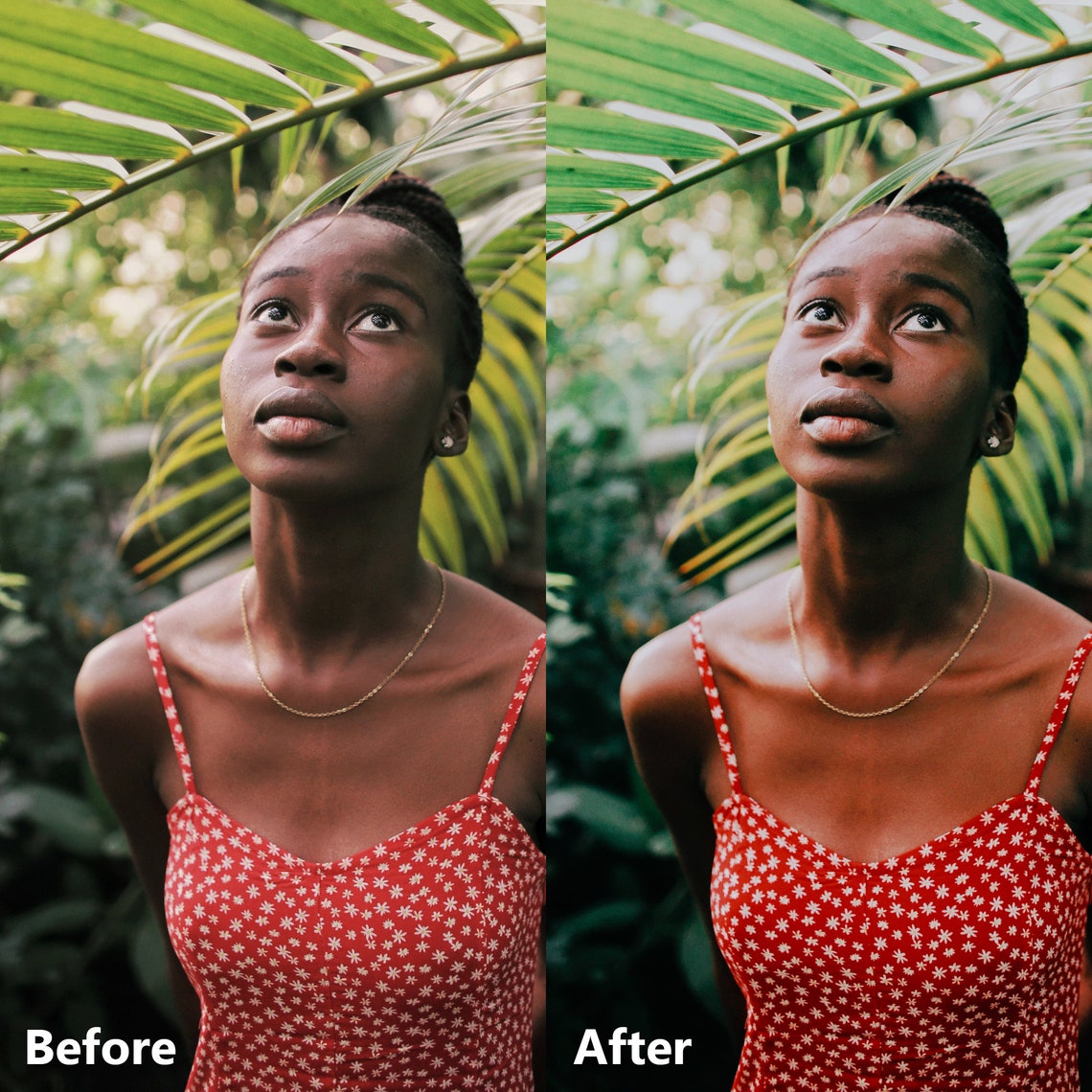 Classic Film LUT - Film Luts, Film Simulation, Photoshop Luts, Luts ...