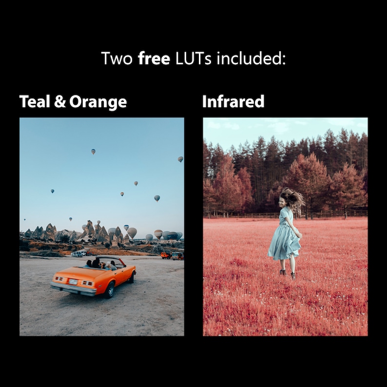 Classic Film Look LUT - Kodak, Fujifilm, Agfa Emulation - Etsy