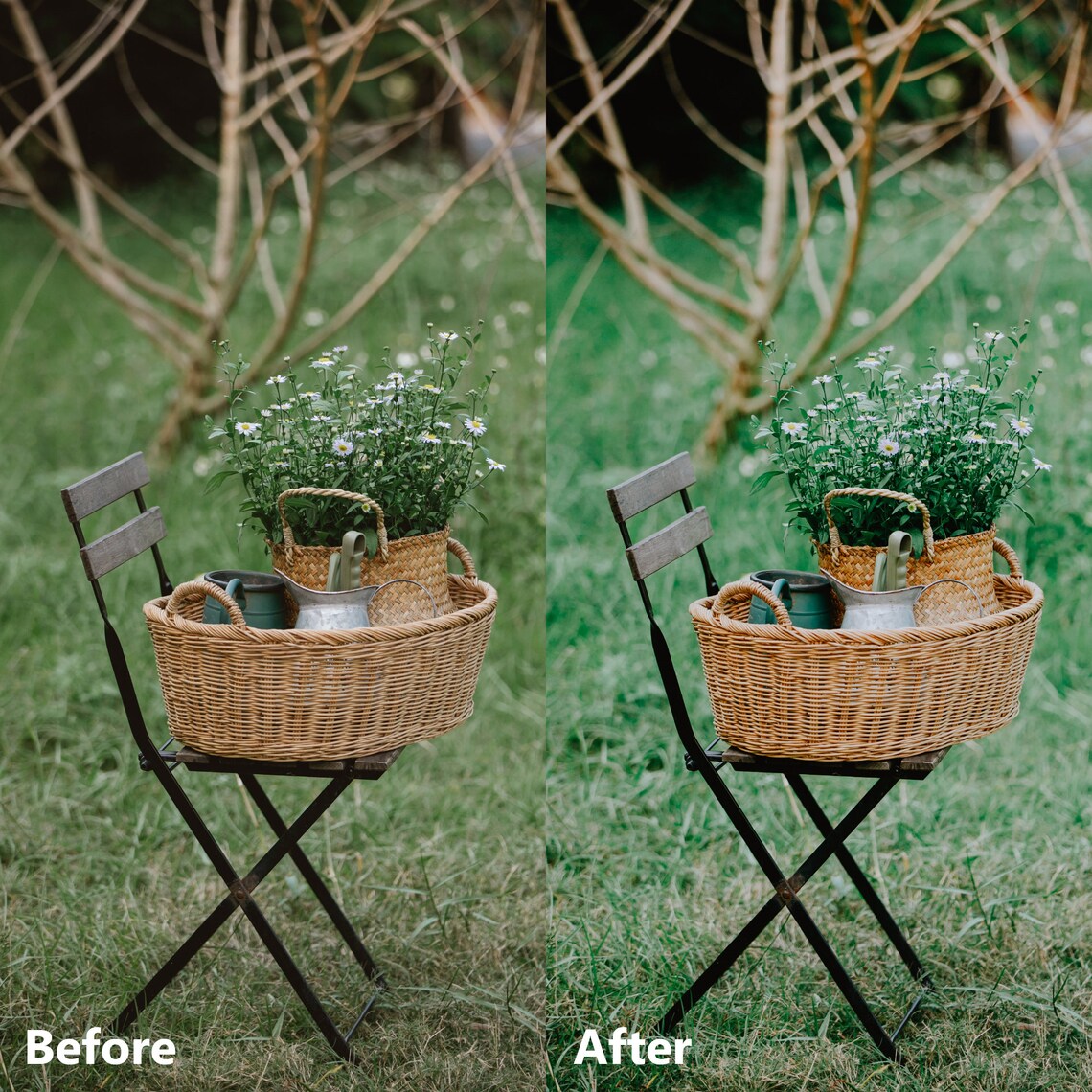 Classic Film LUT - Film Luts, Film Simulation, Photoshop Luts, Luts ...