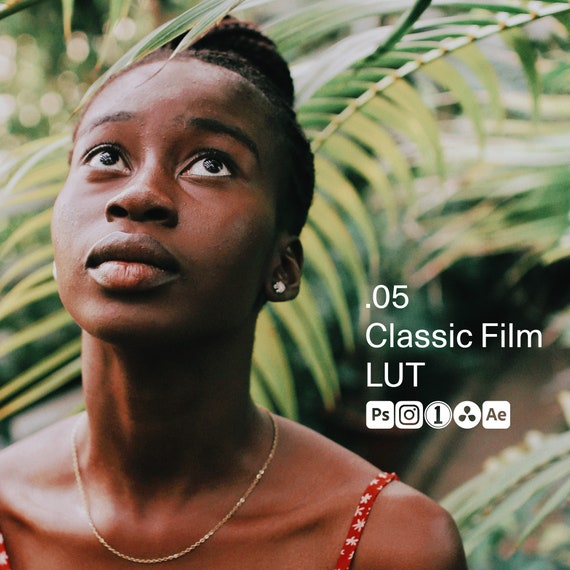 Classic Film LUT Film Luts Film Simulation Photoshop Luts - Etsy
