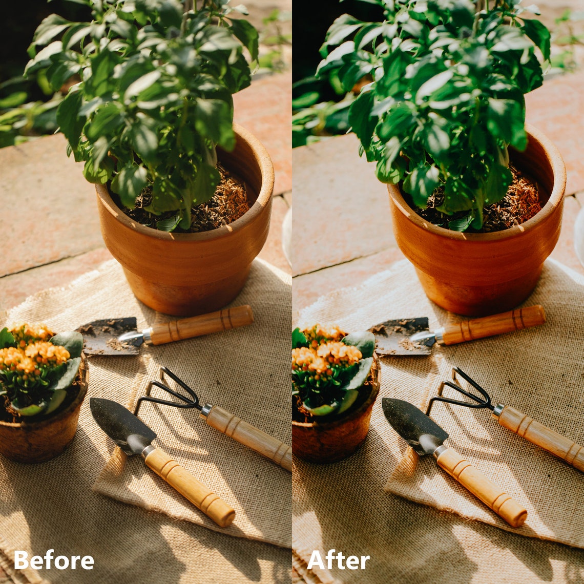 Classic Film LUT - Film Luts, Film Simulation, Photoshop Luts, Luts ...