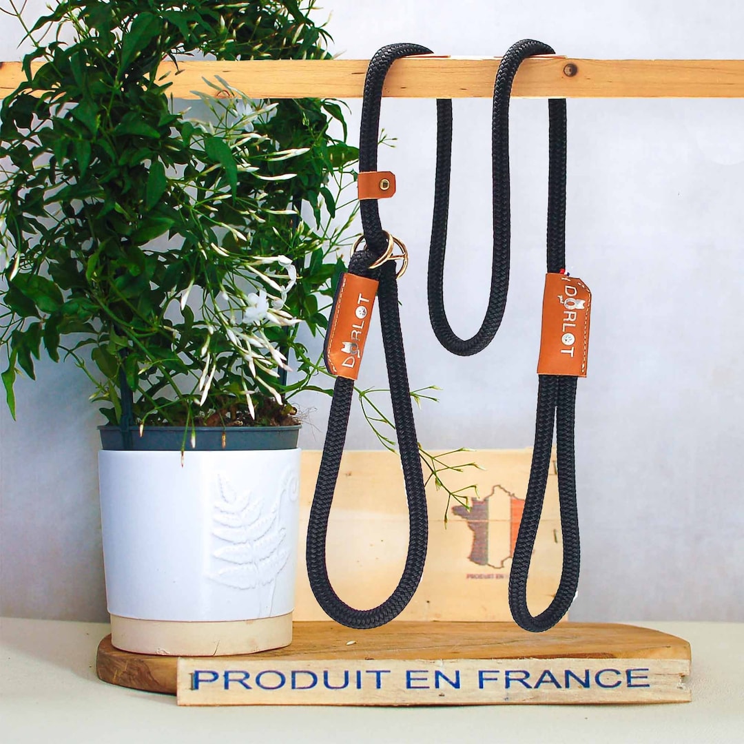 Customizable Dog Lasso Leash, Rope Dog Leash - Etsy