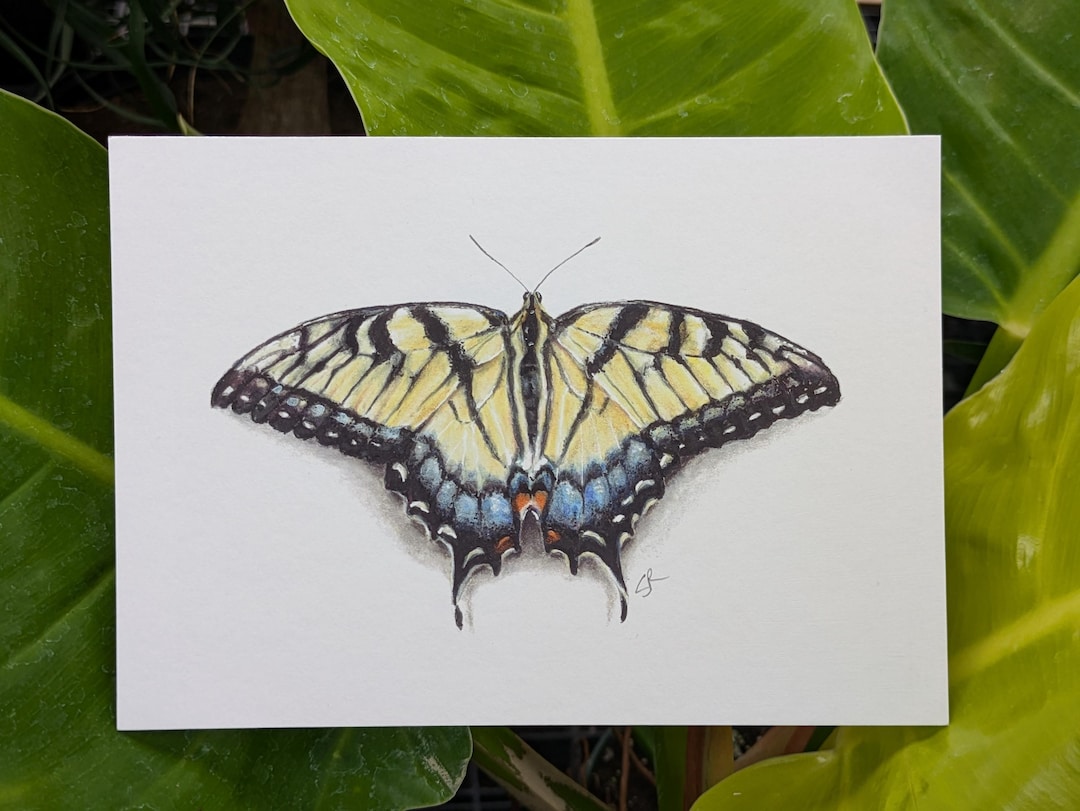 Eastern Tiger Swallowtail Print Hand Painted With Metallic Watercolors ...