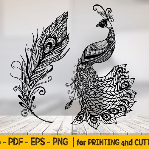 Peacock Feather Svg Peacock Feather Cut File Png Svg Dxf | Etsy UK