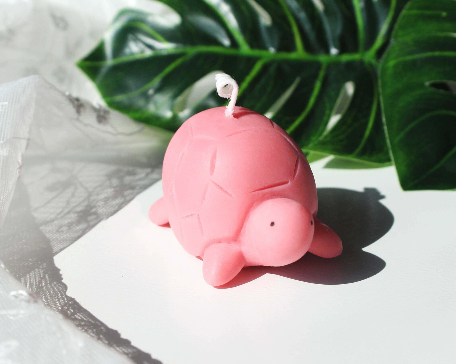 Cute Turtle Candles / Hand-poured Unique Scented Soy Wax - Etsy Australia