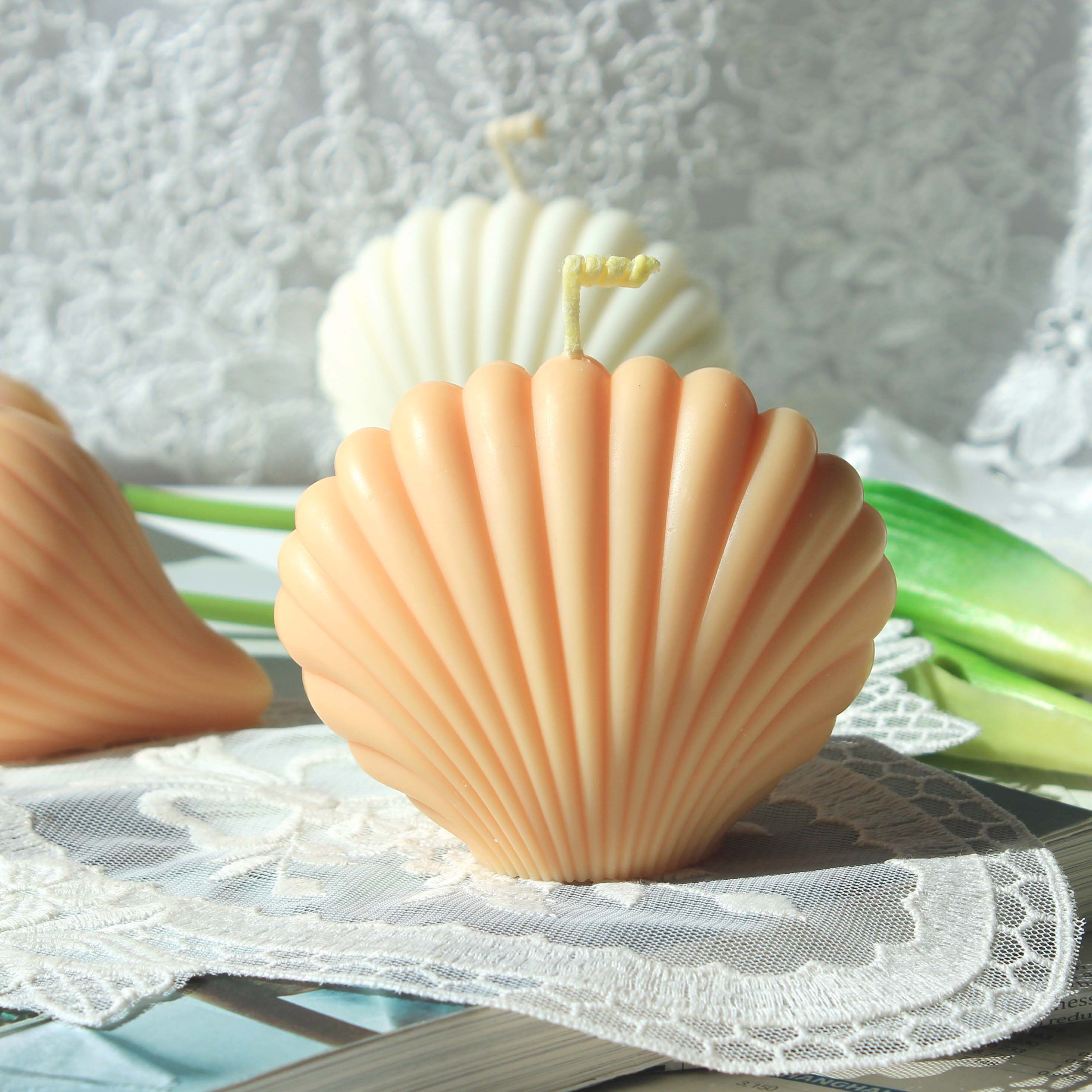 Seashell Candle 6 Colours / Clam Scallop Candle Elegant - Etsy Australia