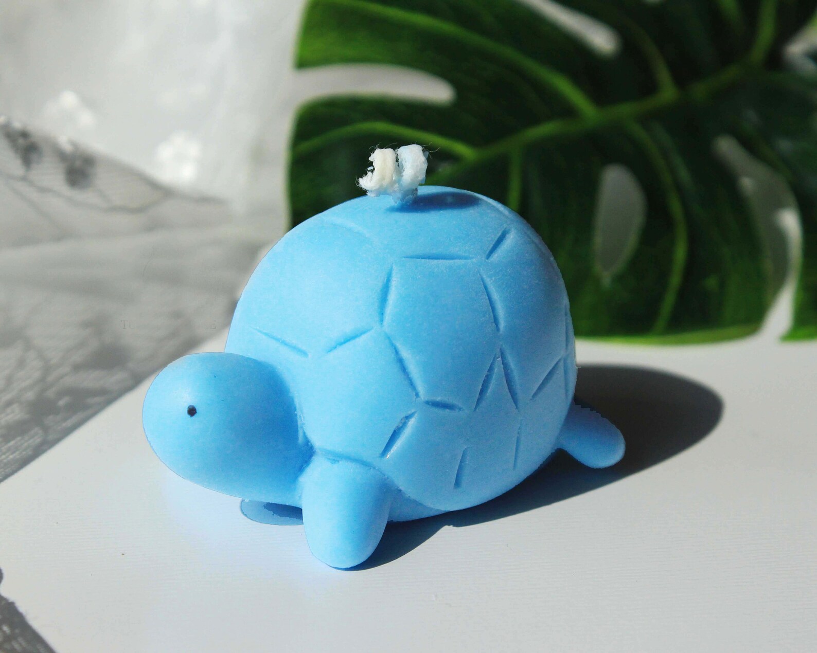 Cute Turtle Candles / Hand-poured Unique Scented Soy Wax - Etsy Australia