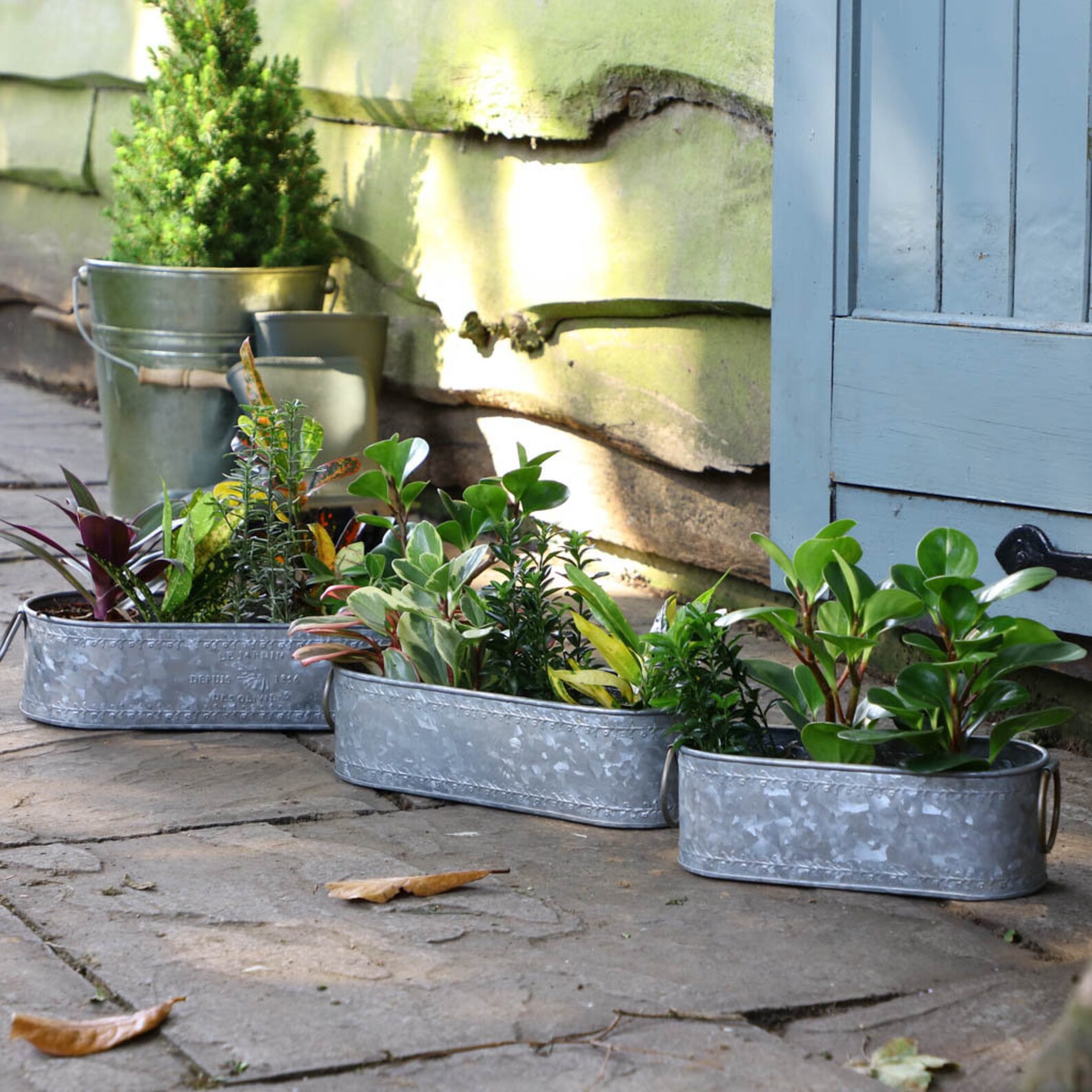 Set of 3 Galvanised Zinc Trough Planters Flower Pot Herb - Etsy UK