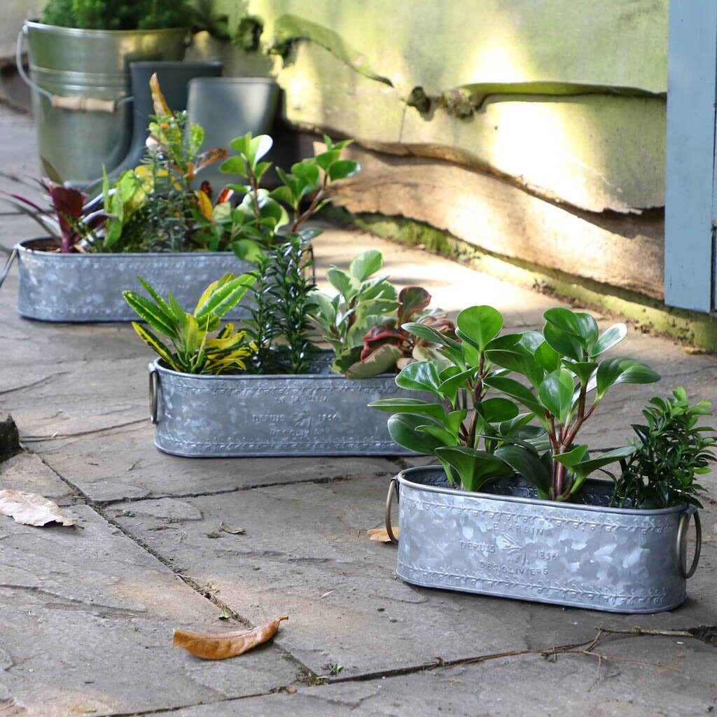 Set of 3 Galvanised Zinc Trough Planters Flower Pot Herb - Etsy UK