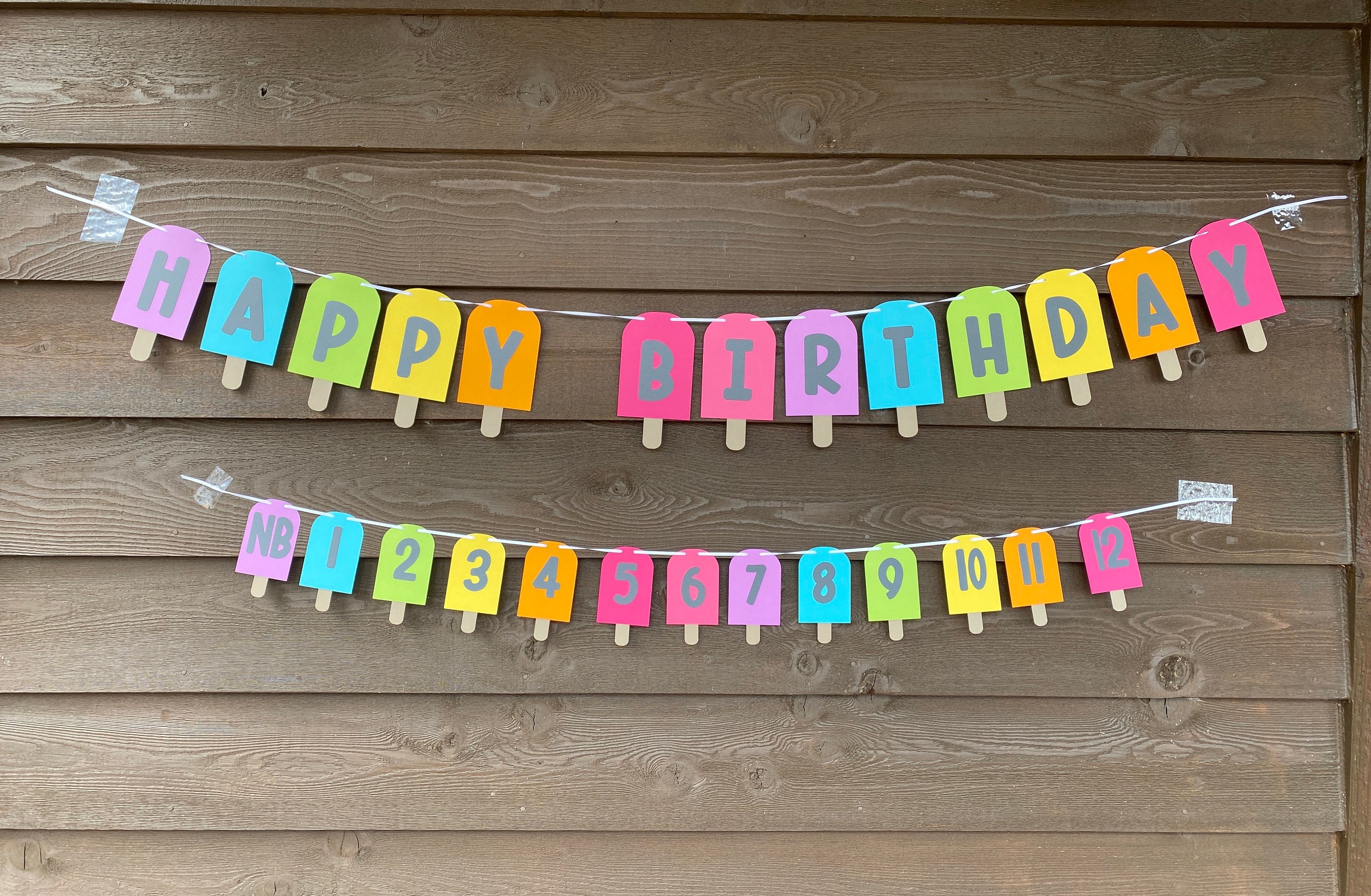 Colorful Popsicle Happy Birthday Banner the Cool One First - Etsy