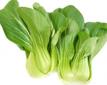 Baby Bok Choi - Etsy