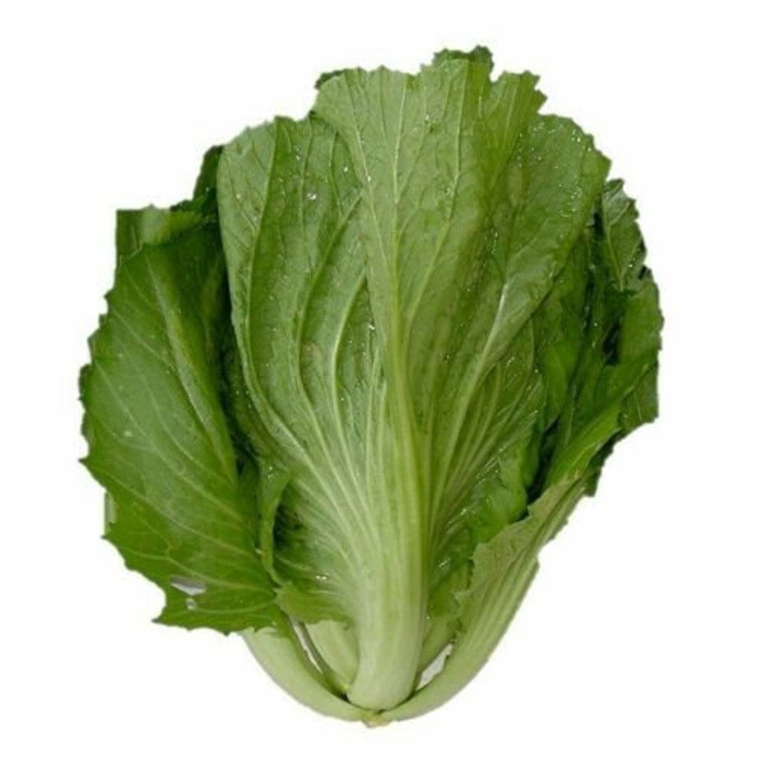 1500 Seeds Asian Mustard Green/ Chinese Mustard Green/ Mustasa / Gai ...