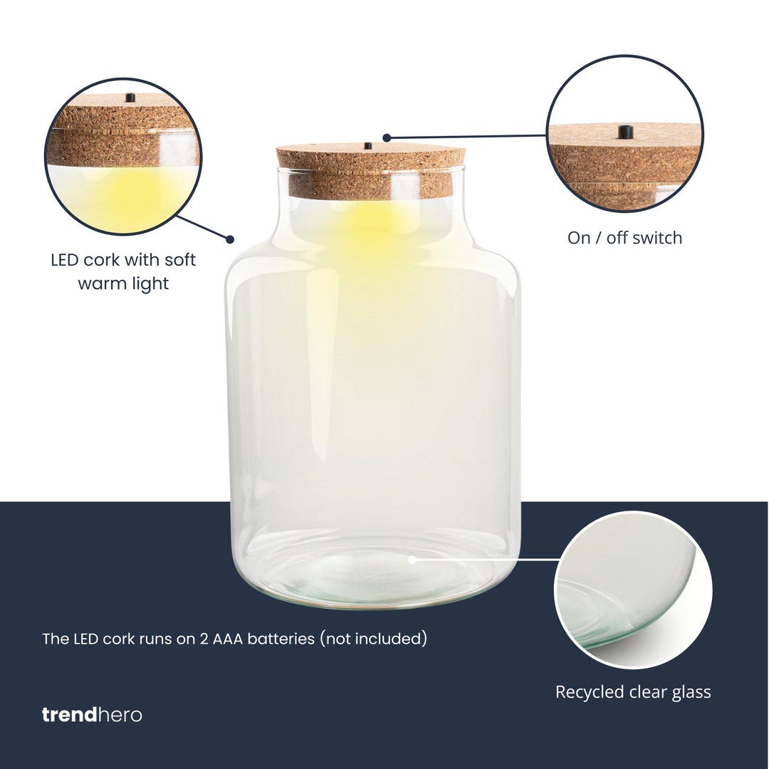 Glass Terrarium Bottle With LED Cork - Little Milky - Recycled Glass - Etsy