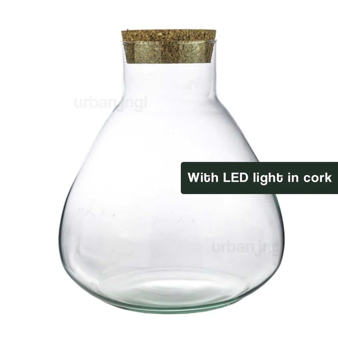 Closed Terrarium Container Sam With LED Light Cork 30 Cm / Ø 24,5 Cm ...