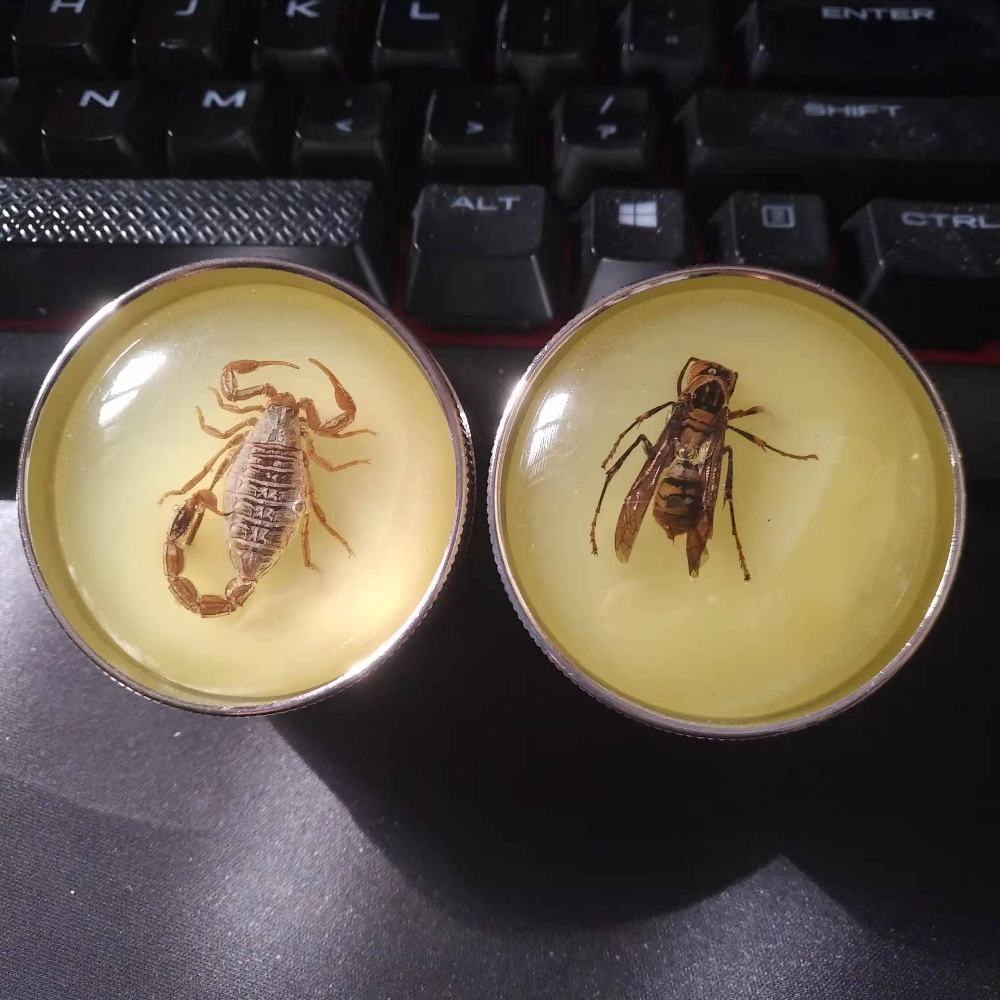 52mm Wide Luminous Spider/scorpion/bee Specimen & Zinc Alloy - Etsy