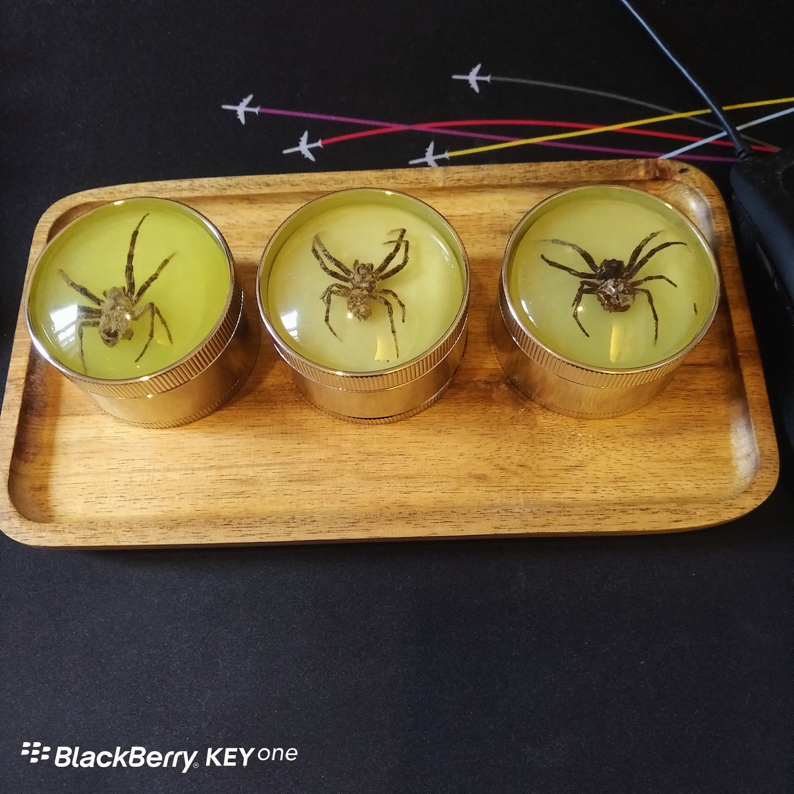 52mm Wide Luminous Spider/scorpion/bee Specimen & Zinc Alloy - Etsy